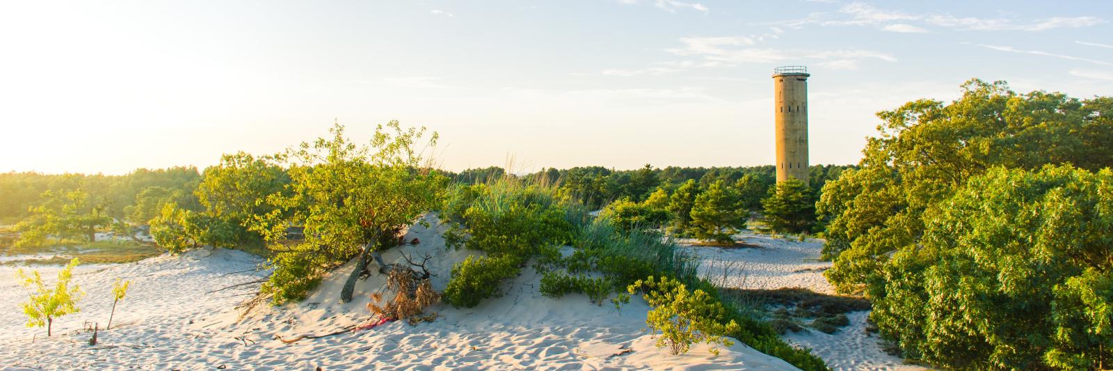 Facility Details - Cape Henlopen State Park, DE - Delaware State parks